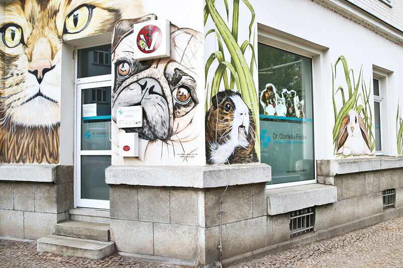 Veterinary Practice | Pet Clinic Leipzig